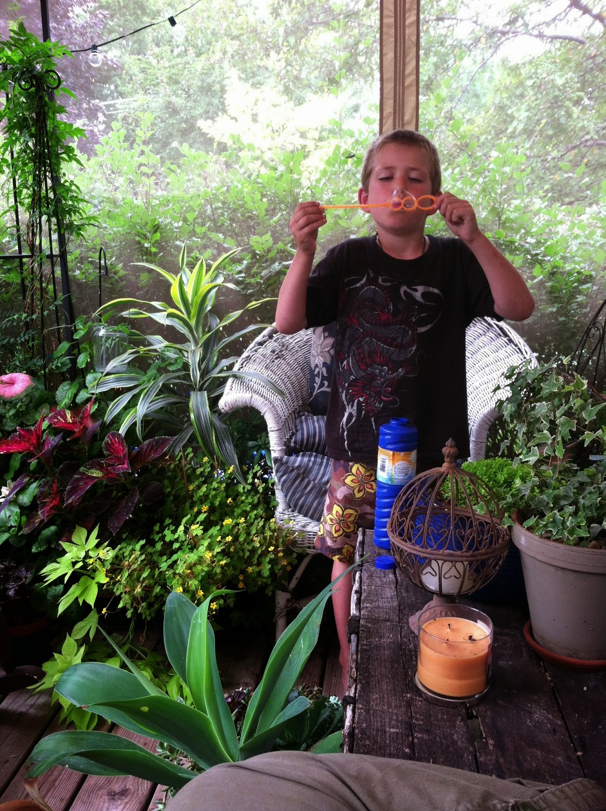 I Love My Garden: Reminiscing on Last Summer