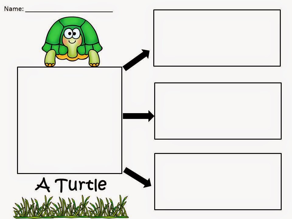 Fairy Tales And Fiction By 2: Have A Turtle-rific Summer Everyone!