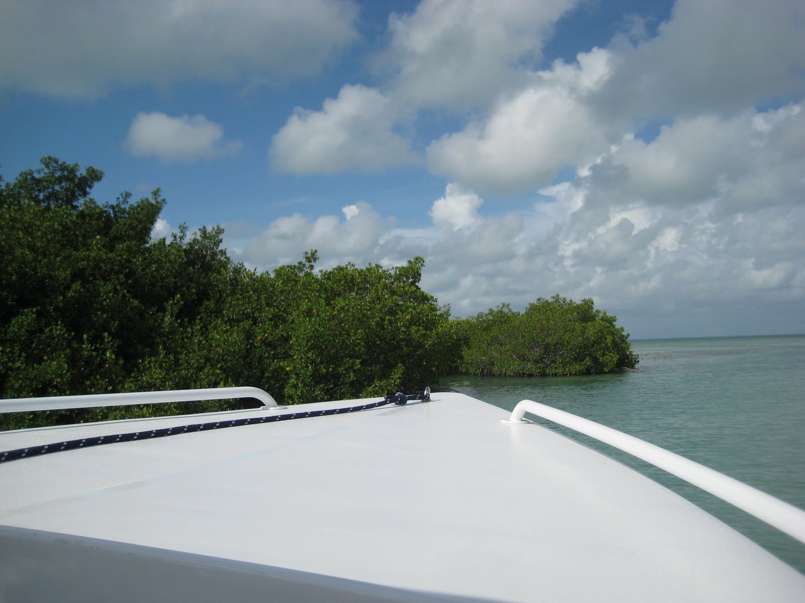 I LOVE CAVE TUBING AND ZIP LINING IN BELIZE!!!! I'm Searious. | San ...