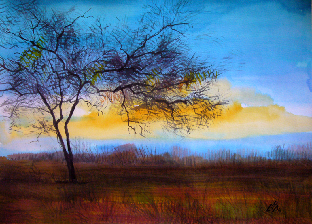 PICTURI CU PEISAJE: PEISAJE DE TOAMNA