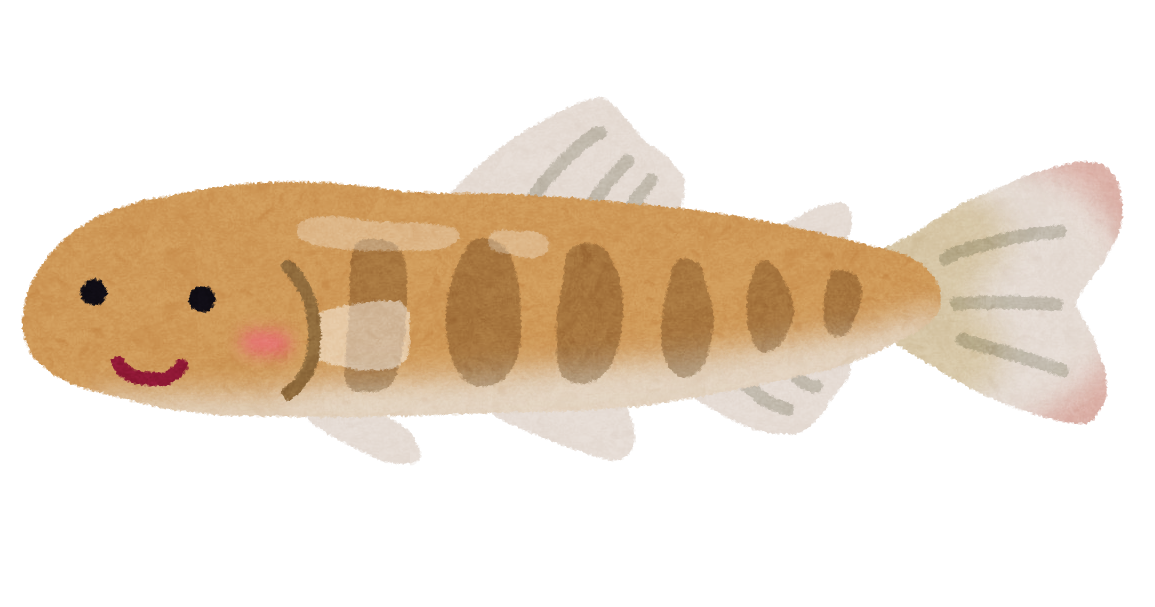 鮭の稚魚のキャラクター | かわいいフリー素材集 いらすとや