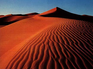 SAHARA DESERT : Amazing Ecosystems of the Sahara!!!