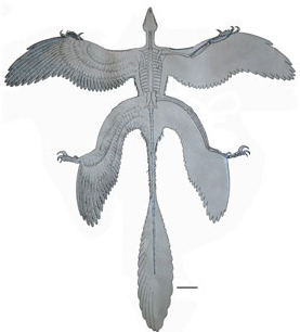 Art of Emily Willoughby: The Evolution of a Microraptor