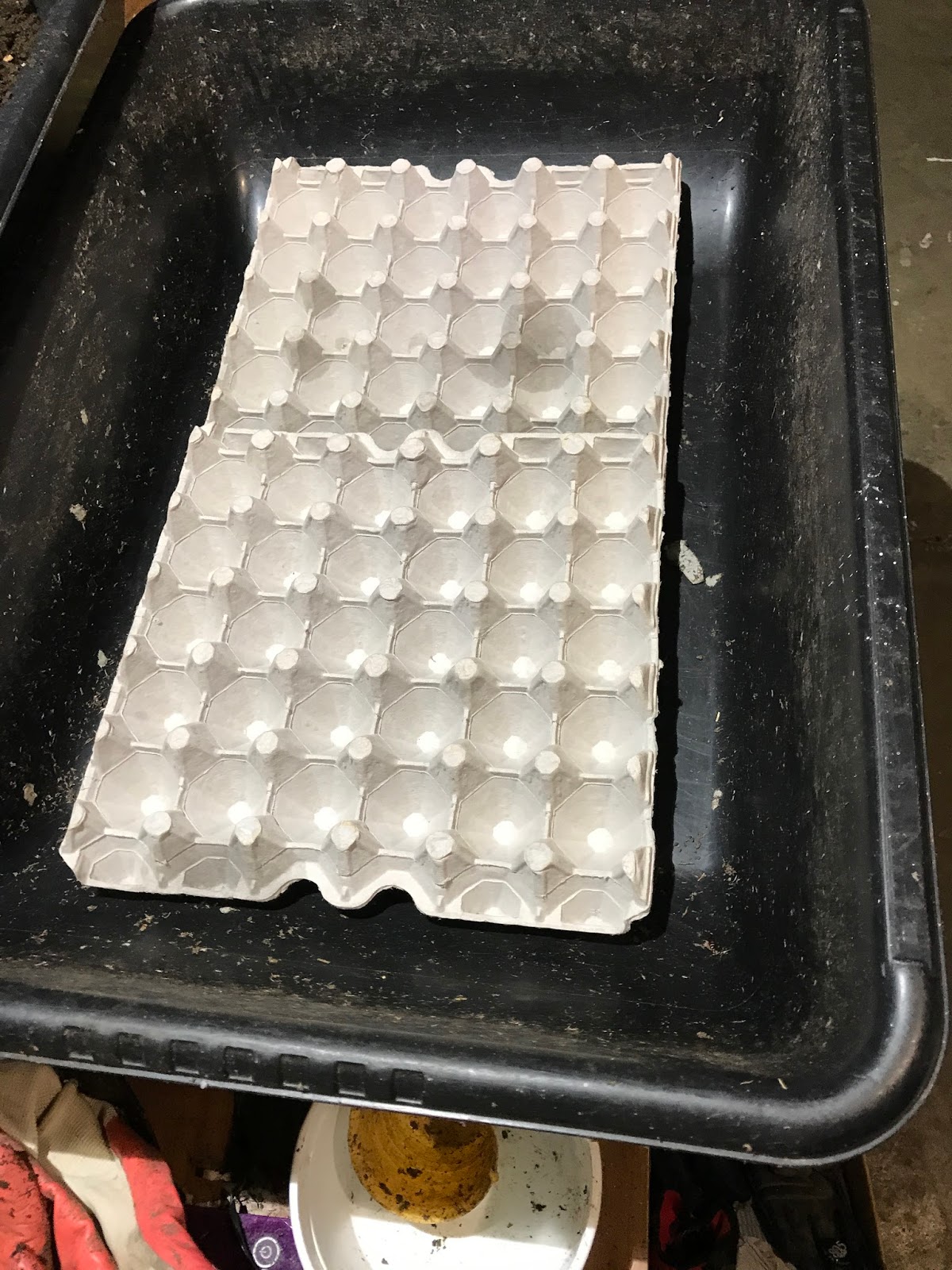 Worm Fancy -- Sacramento area's worms and worm castings