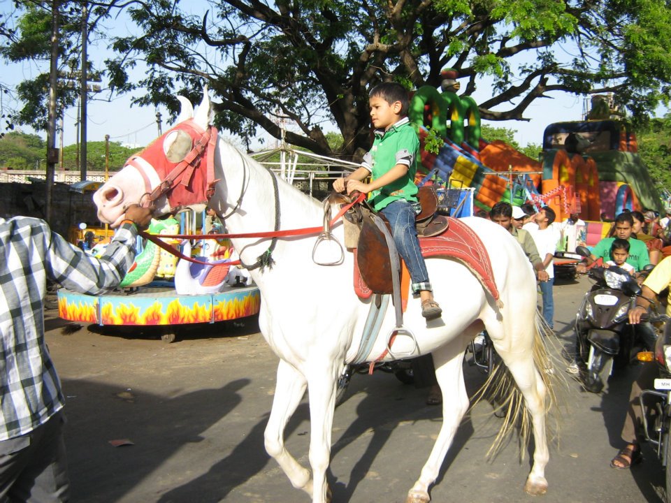 Travelz Unlimited: Peshwe (Adventure) Park : Photo Feature