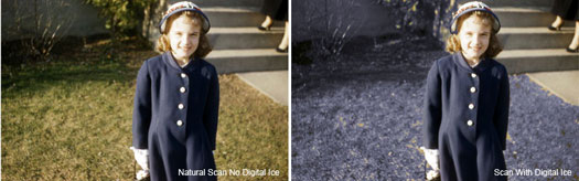 Slide, Film, Photo Scanning: FREE tips On How To Get Quality Digital ...