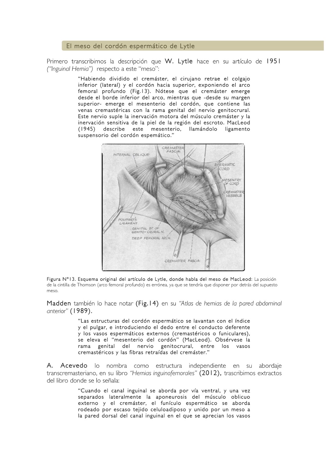 Cuadernos de Anatomía Quirúrgica: Anatomía quirúrgica del cremáster.