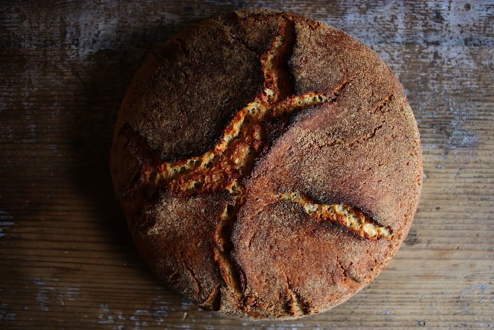 Girl Meets Rye : Pane Siciliano (and A New Michette)