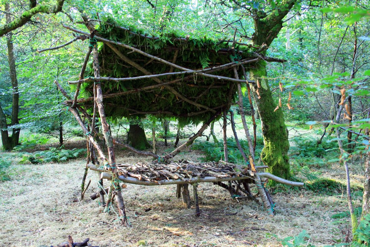 100 Wild Huts: Wild Hut 8