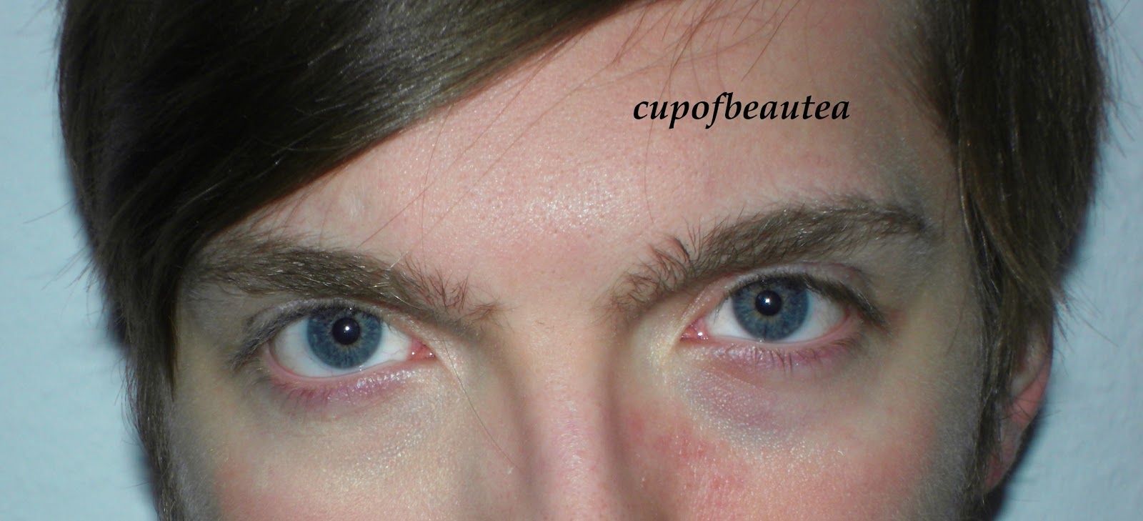 A nice cup of beautea - Eine Tasse voll Tee, Beauty, DIY, Fashion und ...