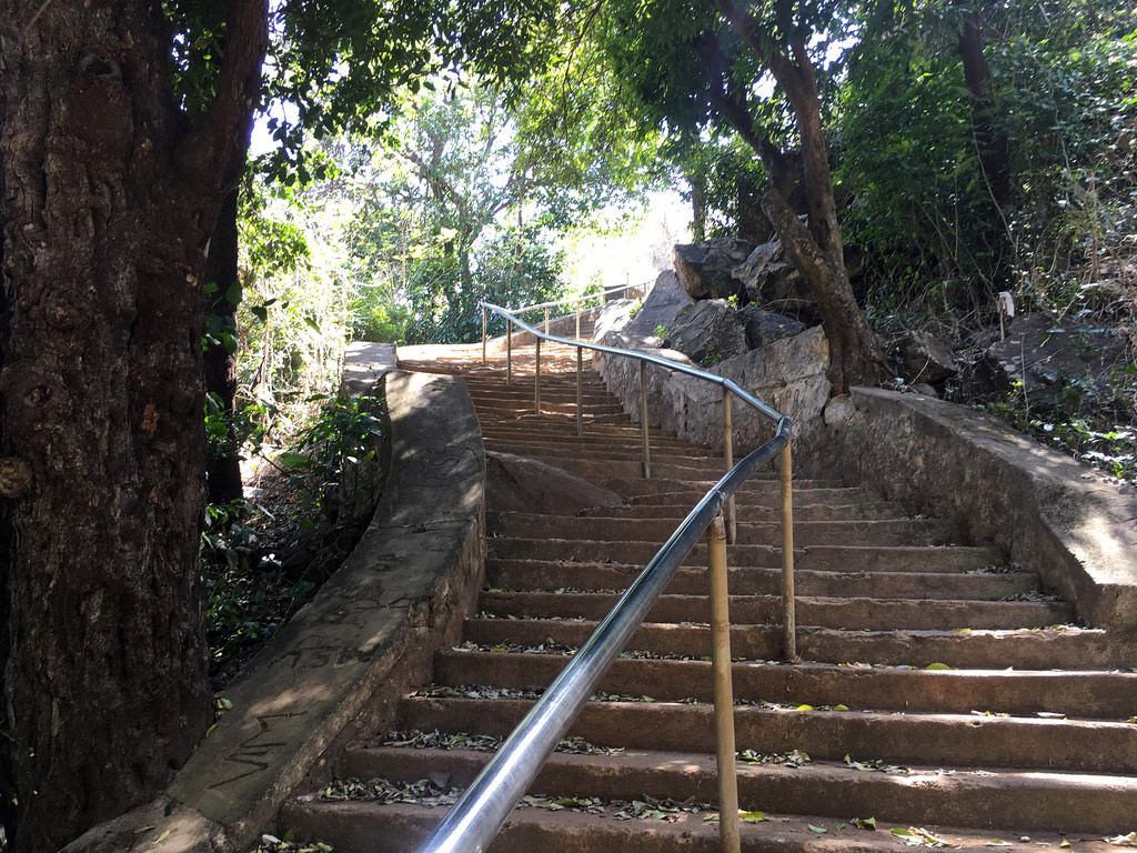 70 Adventurous Hairpin Bends to Reach this destination - Kolli Hills