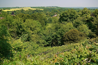 Walking in the country: Selborne and Noar Hill