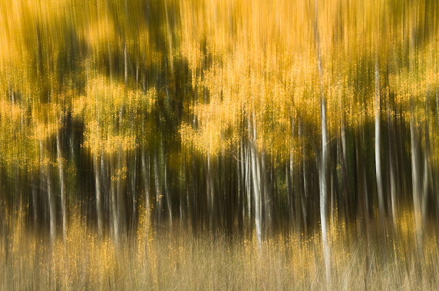 Art-Monie: Jerry Berry "Photographe"