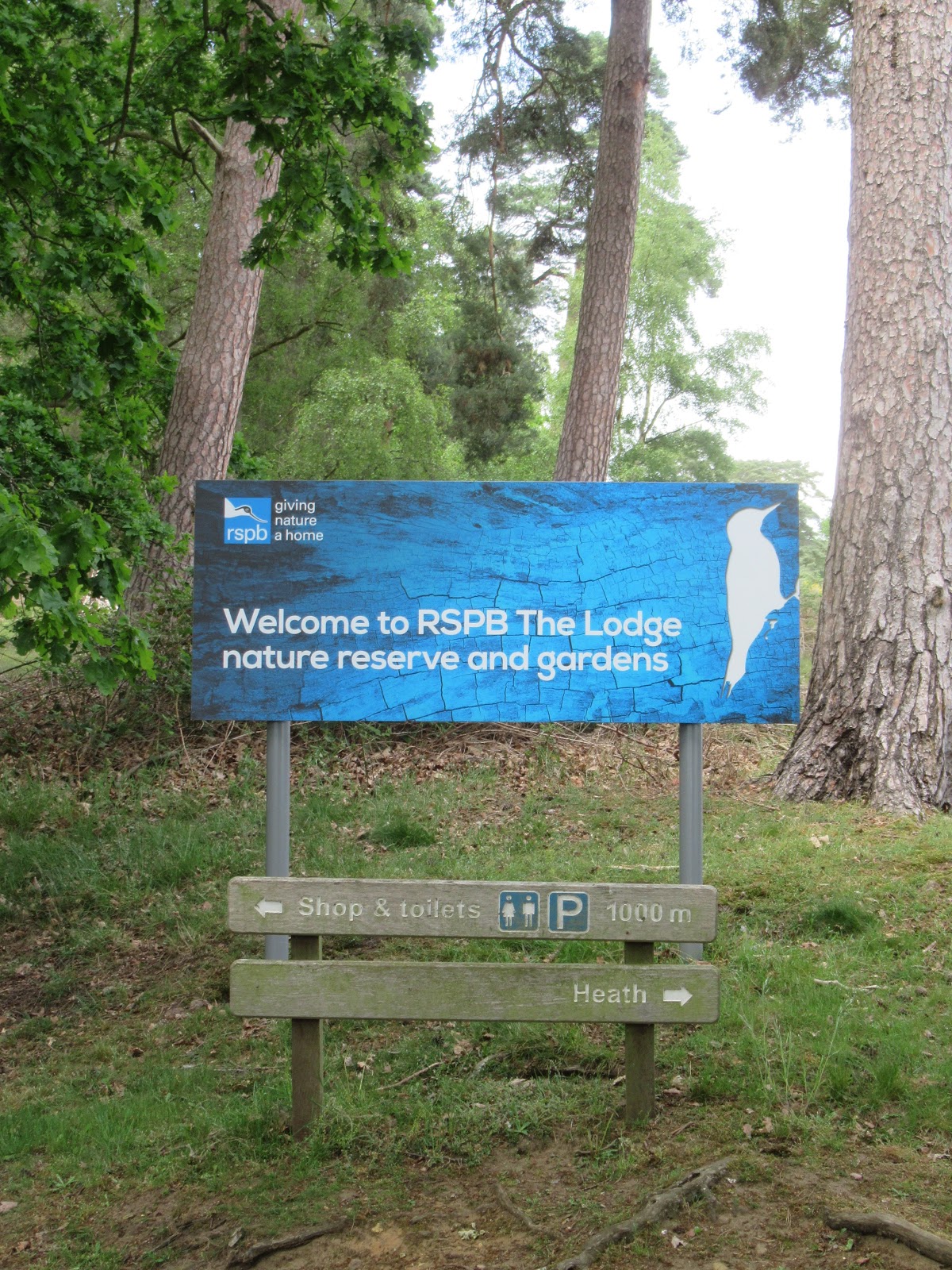 Martin Brookes Oakham: RSPB Nature Reserve The Lodge Sandy Bedfordshire