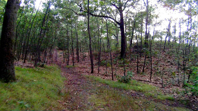 Nor'Easter Backcountry: Whipple Hill in Photos