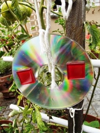 Roots 'n' Shoots: DIY Bird Deterrent (Part 1)