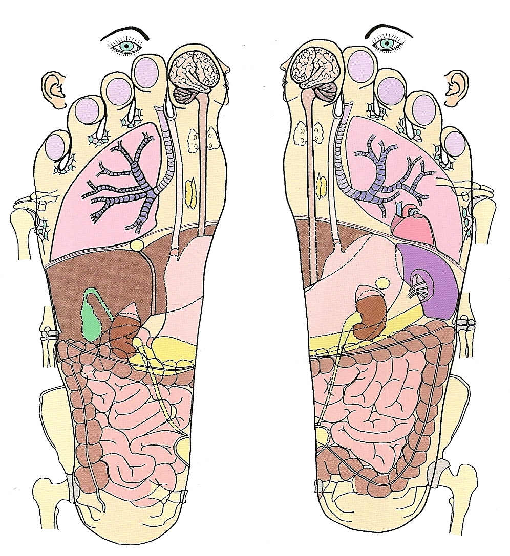 TU SALUD ESTÁ EN TUS MANOS : MÉTODO REFLEXOLÓGICO INGHAM