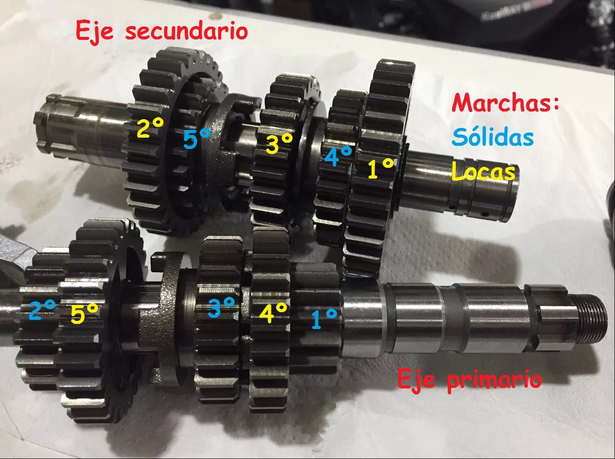 Todo sobre motos: Mecánica: Caja de cambios