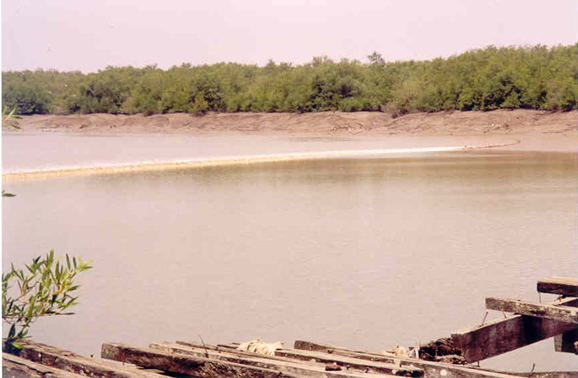 CART 3494 & camaradas da Guiné: P211 - RELEMBRANDO O RIO GEBA E O ...