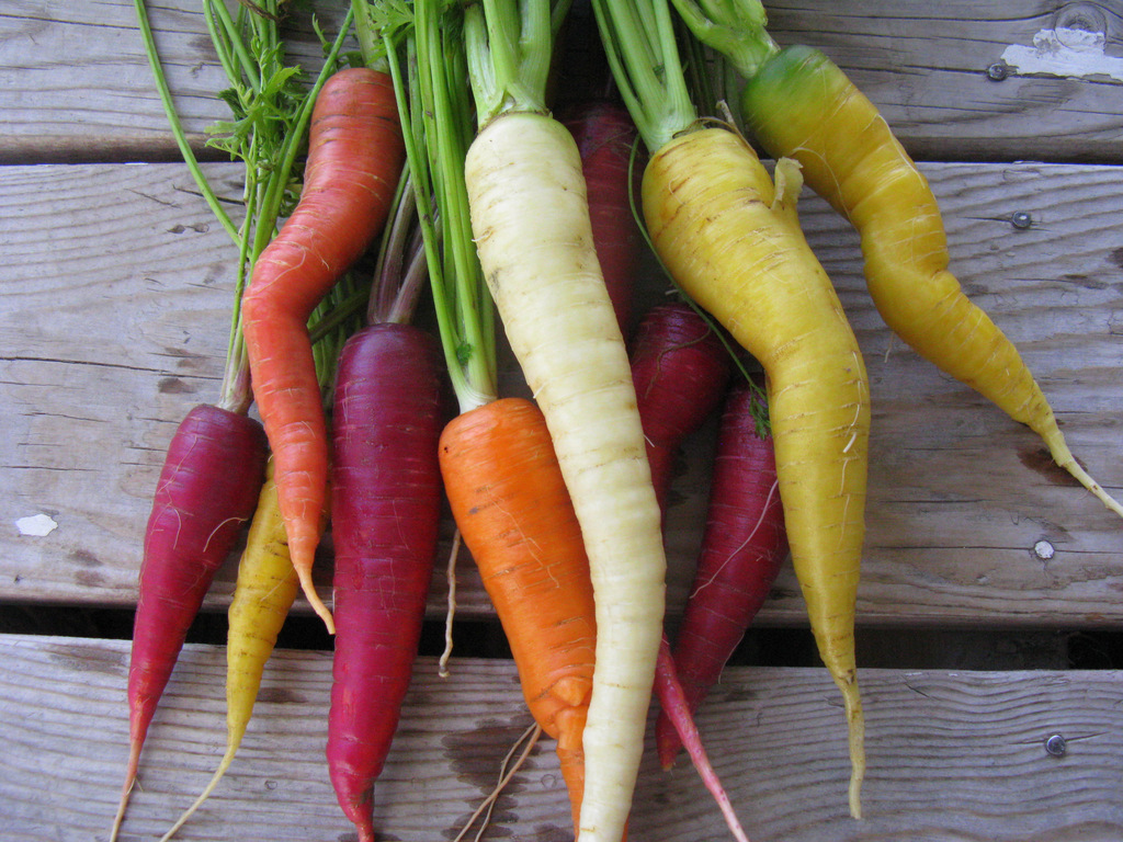 Colorful Carrots | I Gotta Try That...