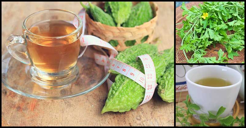 How Your Body Benefits From Drinking Ampalaya Tea | Dr Farrah MD