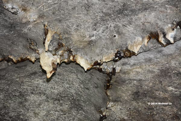 The rainforests of Borneo & Southeast Asia: Caving at southern Sarawak ...