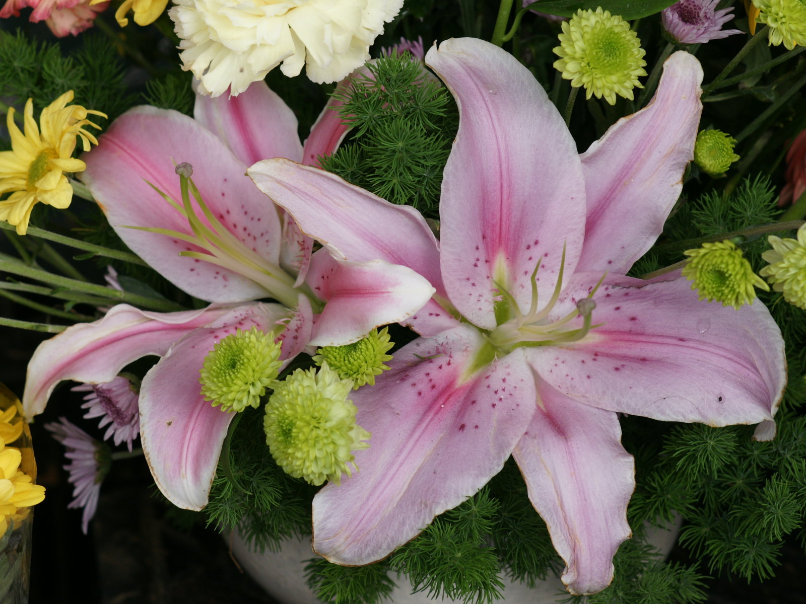 Desktop Wallpaper: Beautiful Flowers Wallpapers