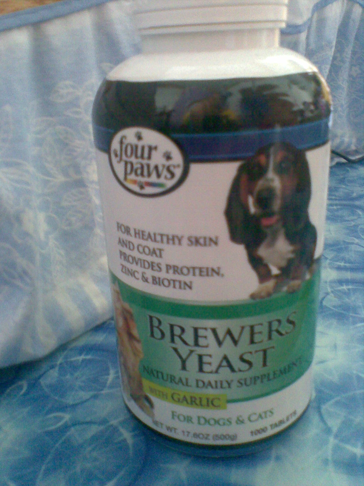 Jangkitan Kutu/Cengkenit/Parasit Kucing | My CoRneR