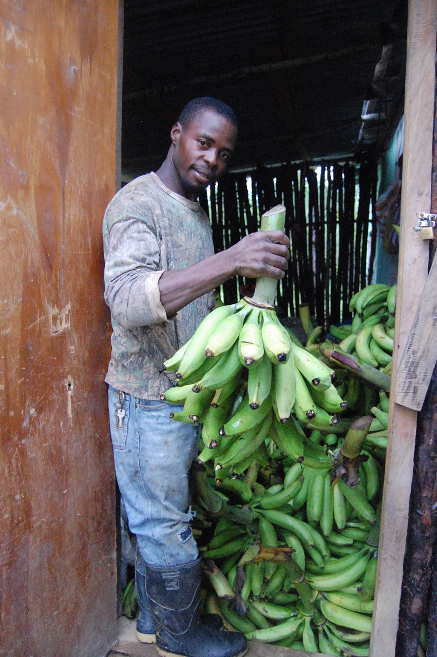 AFRICAN DESCENDANTS IN HONDURAS (AFRO-HONDURANS)