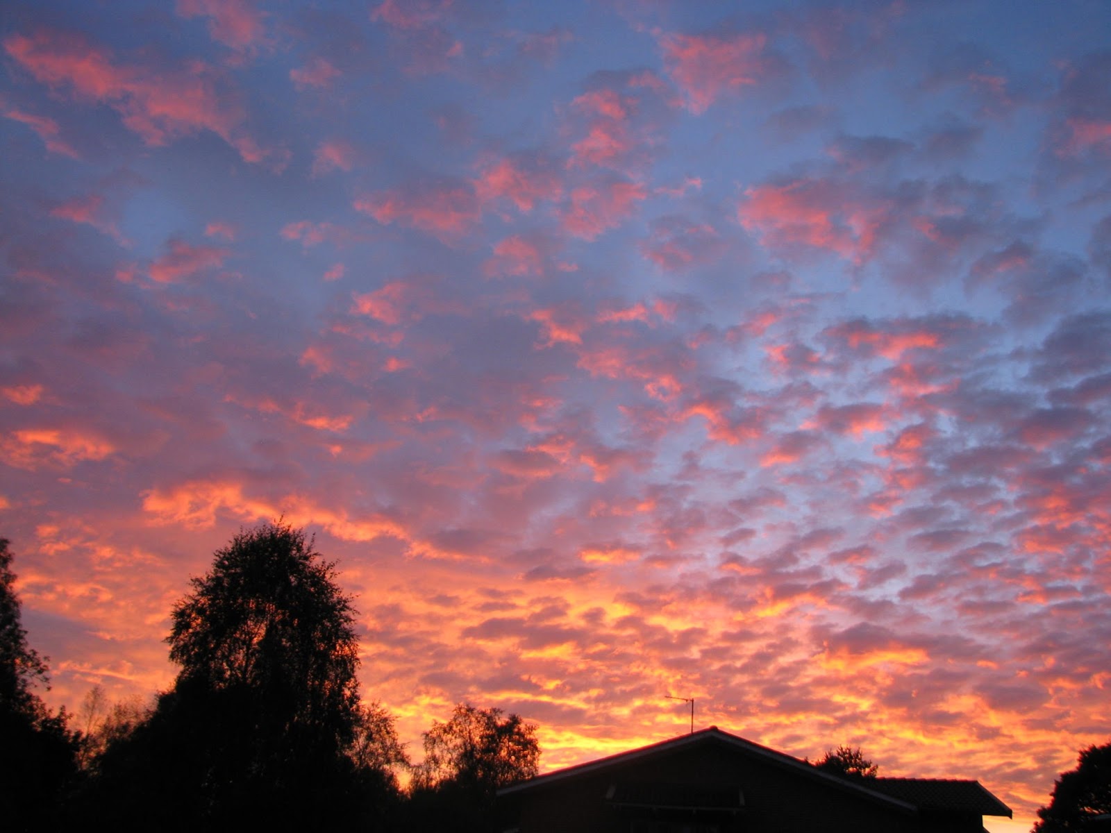 Winters Moon: Pretty skies