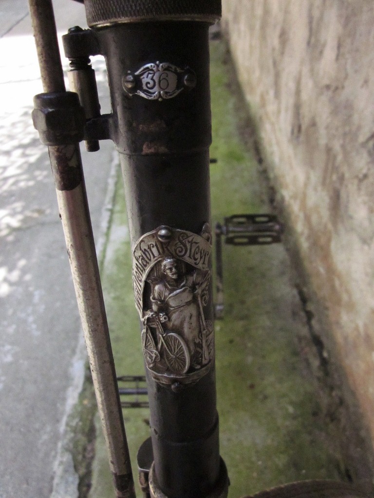 paramanubrio: Steyr 1901