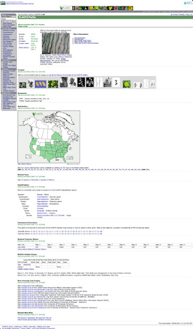 Temperate Climate Permaculture: USDA Plants Database