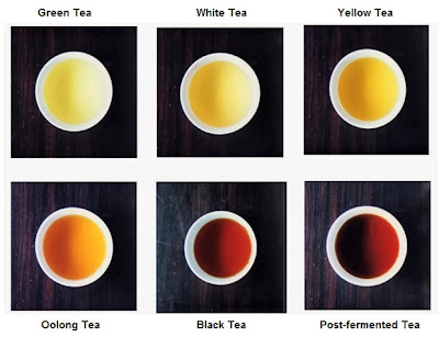 清茶淡话 - Tea Talk: 6 Tea Classes