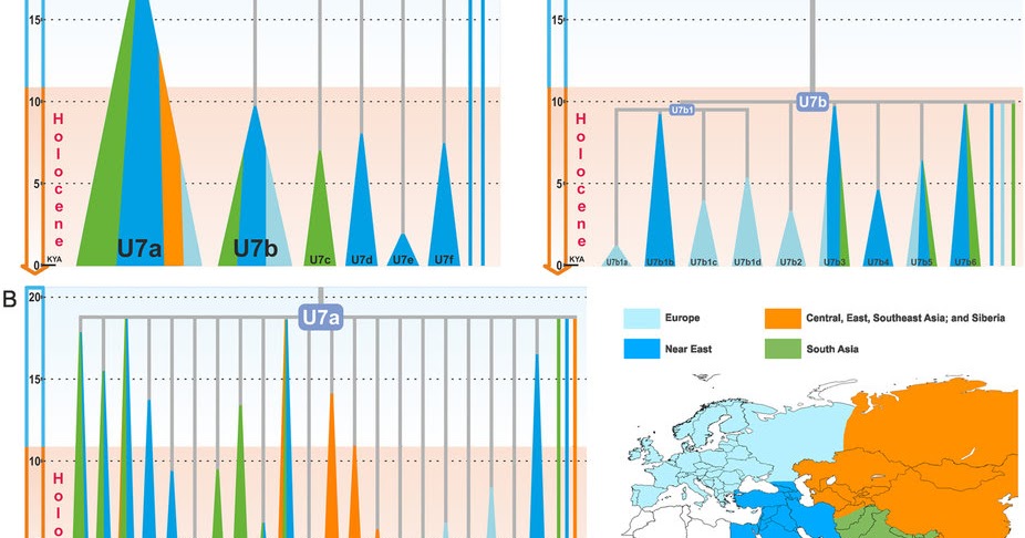Eurogenes Blog: The story of mtDNA haplogroup U7