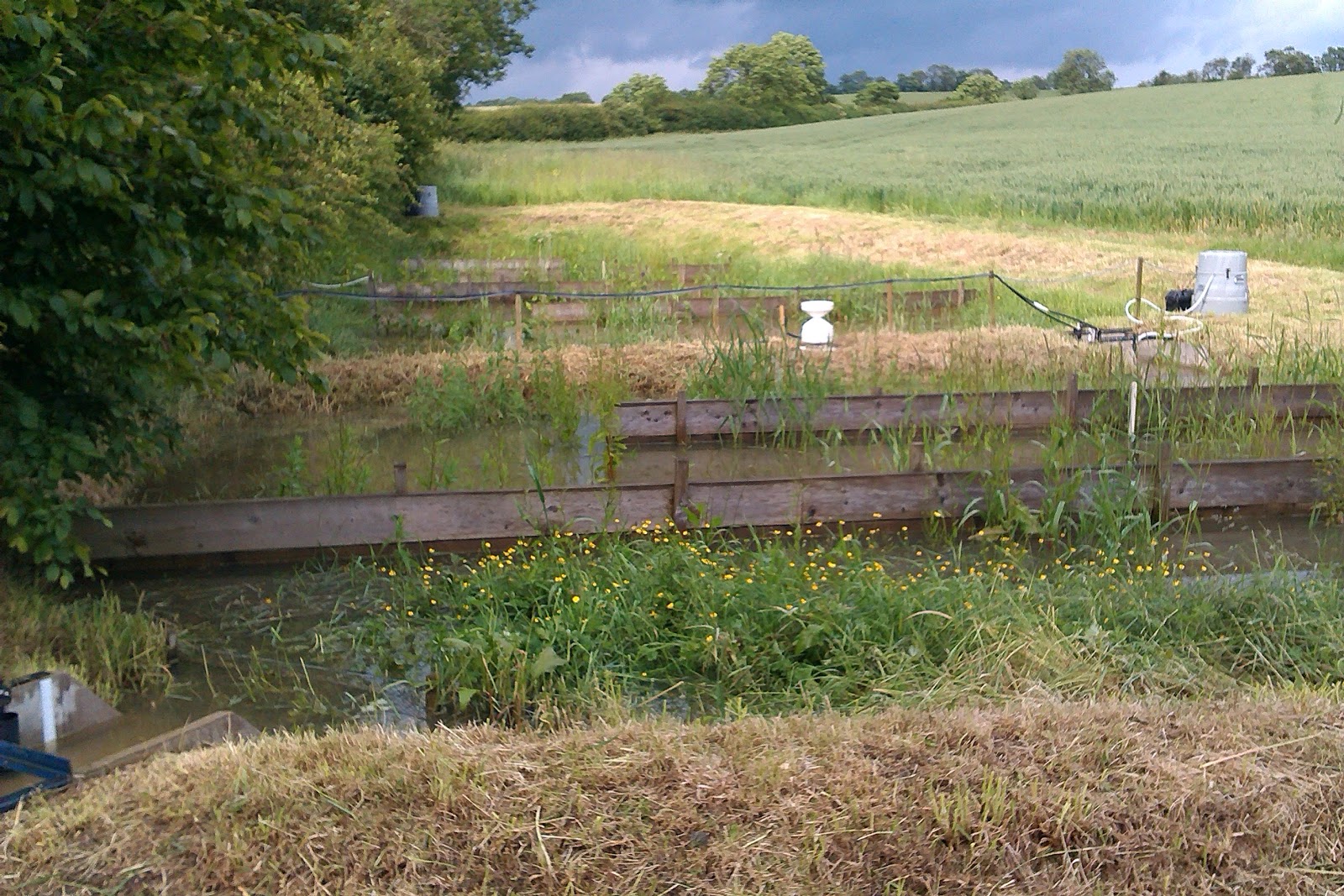 The Loddington Estate: BBC Farming Today visit Loddington