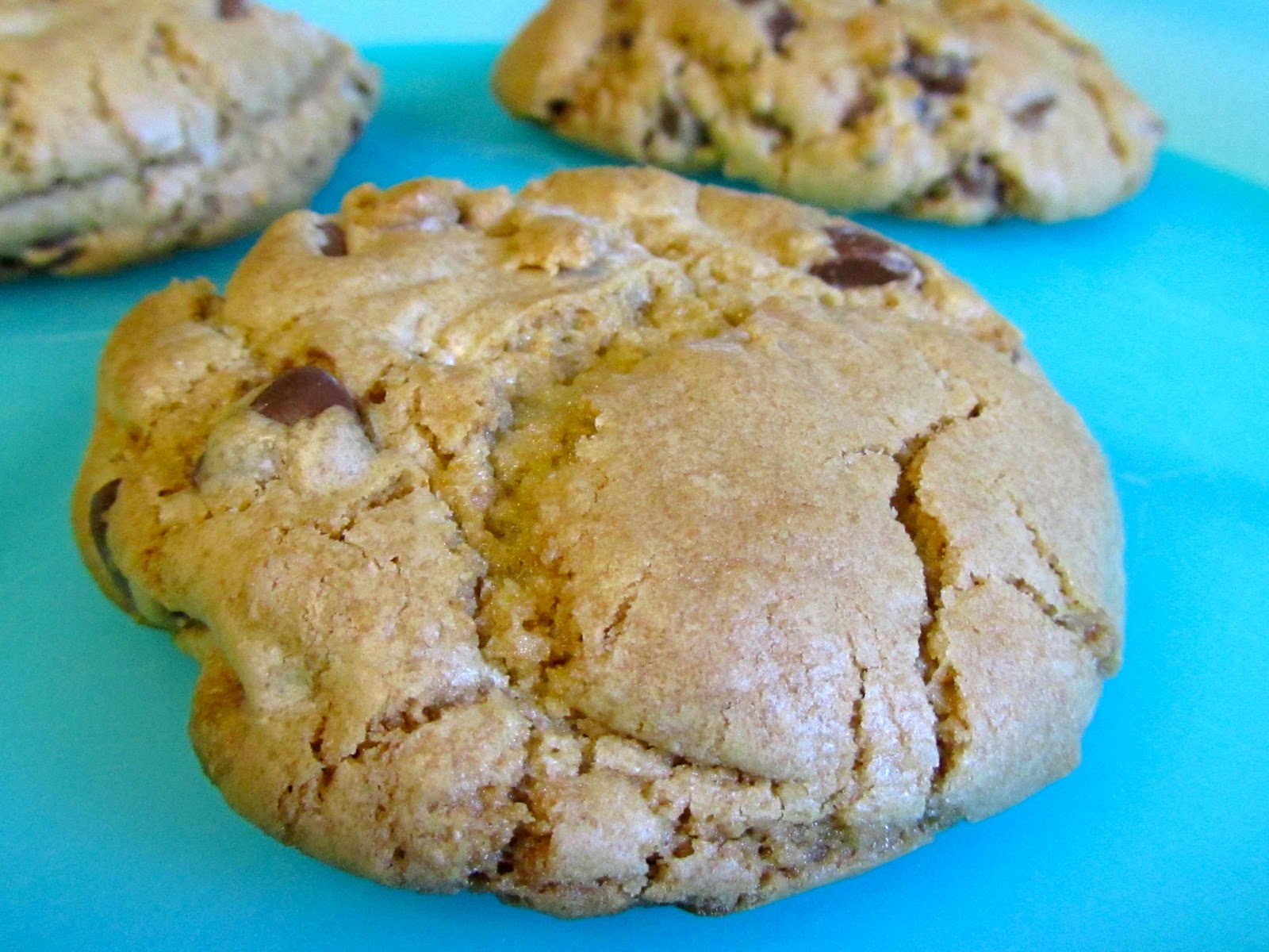 Evolution of a Foodie: The Chewy; or the best freaking Chocolate Chip ...