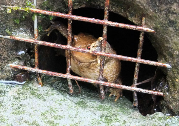 Quickly, Quietly, Carefully: Monster fingers, Lovecraftian aedicula ...