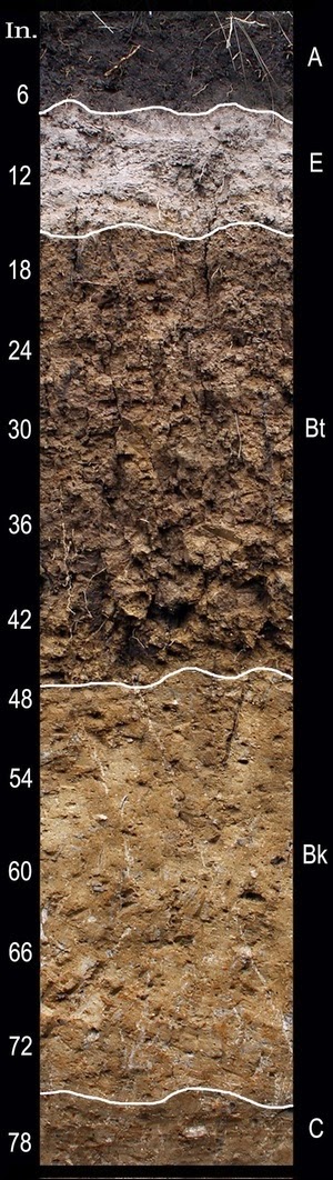 TYWKIWDBI ("Tai-Wiki-Widbee"): Do you know your state soil?