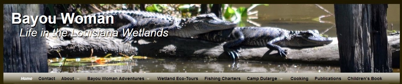 Roots From The Bayou: Follow Friday ~ Bayou Woman, Life in the ...