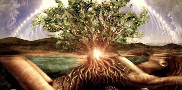 Valon kultainen kirja