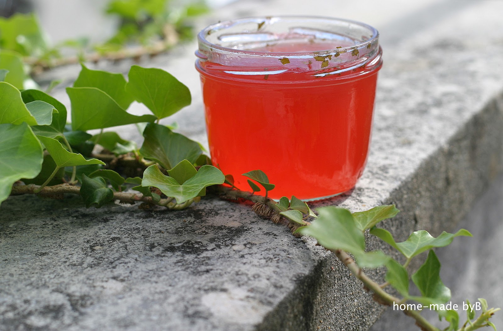 Home-made by B: Žele od rabarbare sa mentom