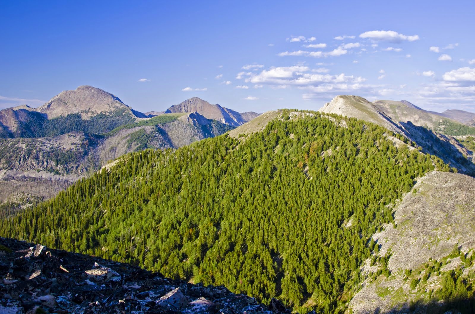 The Real World: Pintler Loop, Anaconda-Pintler Wilderness