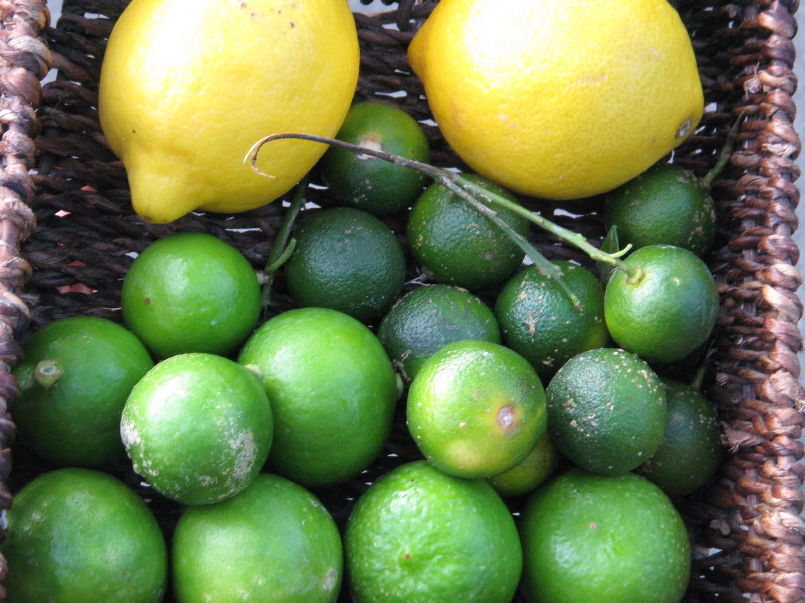 bucaio: Dalayap/Dayap