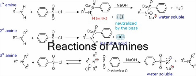 Manash (Subhaditya Edusoft): Organic Chemistry Part 4 : Amines