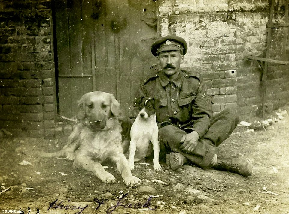 Terrierman's Daily Dose: World War I Terriers