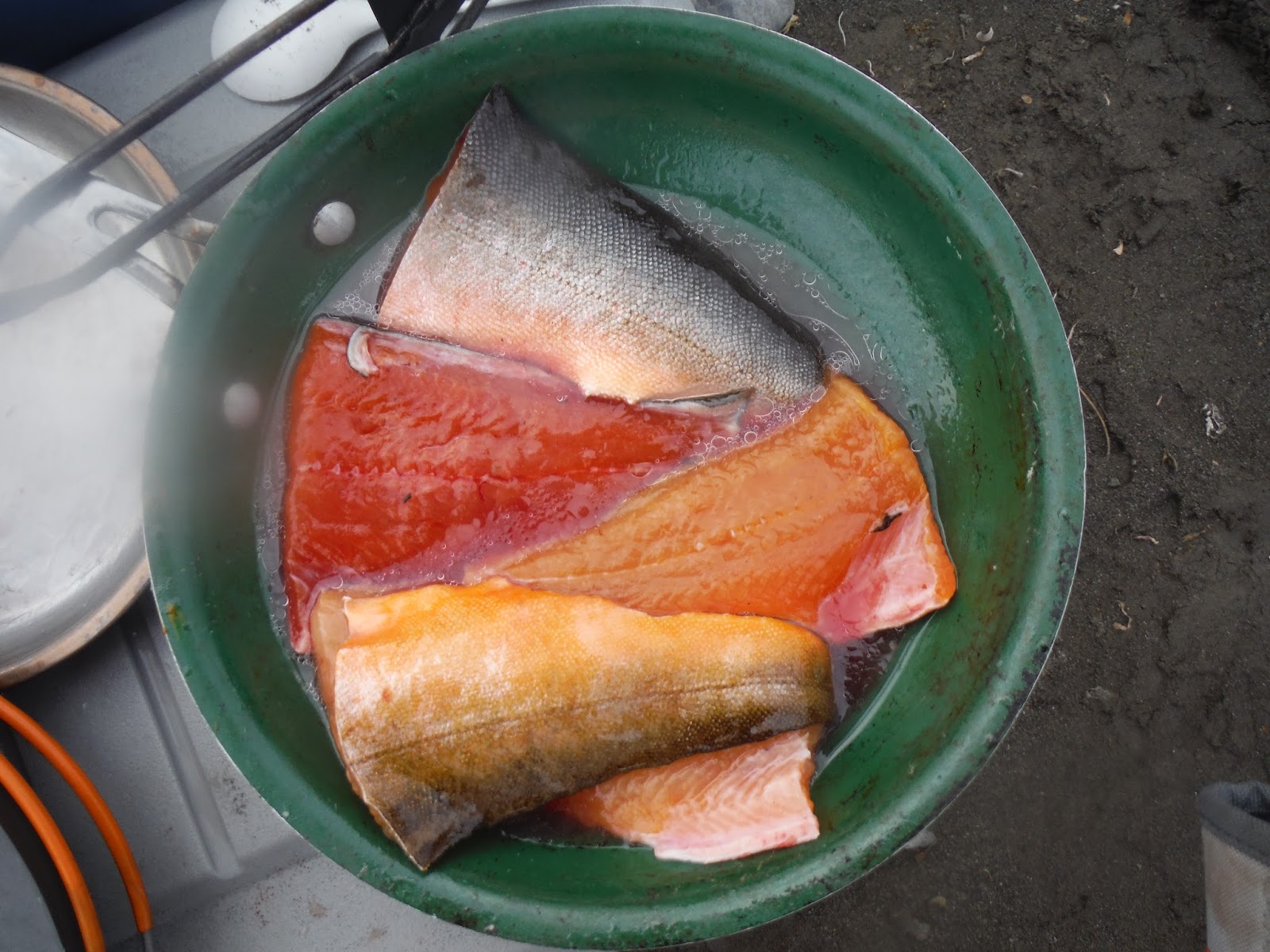 Alaska Fly Tyer: The Sag (Sagavanirktok) River Float July-August 2016