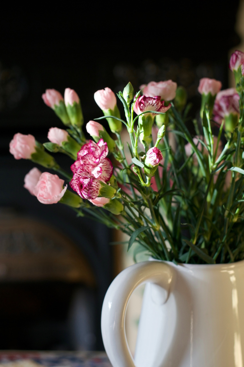 Lunch & Latte: carnations in winter