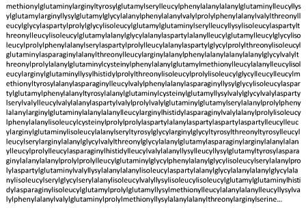 Titina: Proteina Da Shock - Scientificando