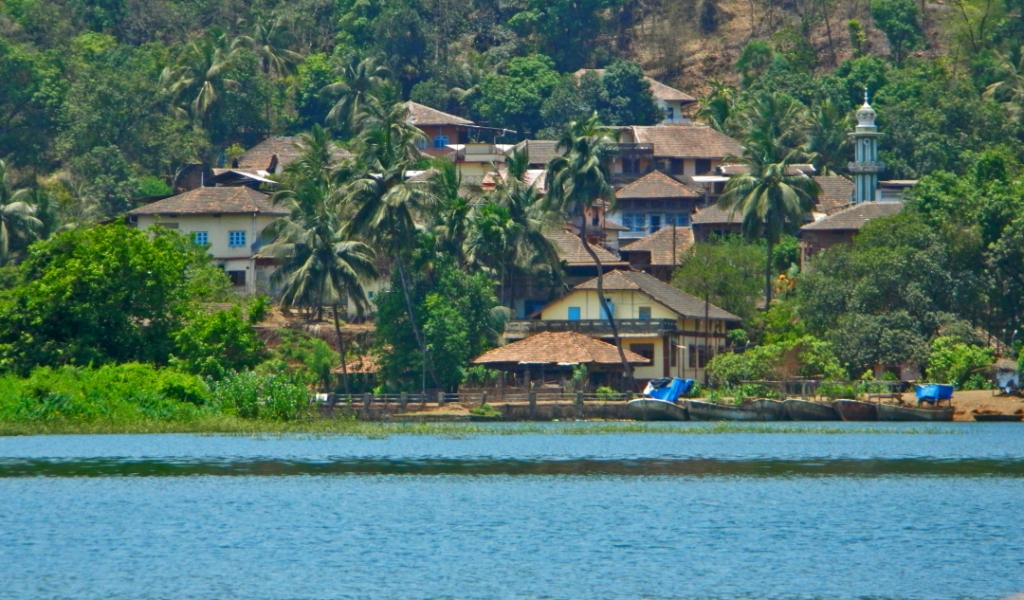 Crocodile safari at Maldoli backwater,Maharashtra,India | Travel life ...