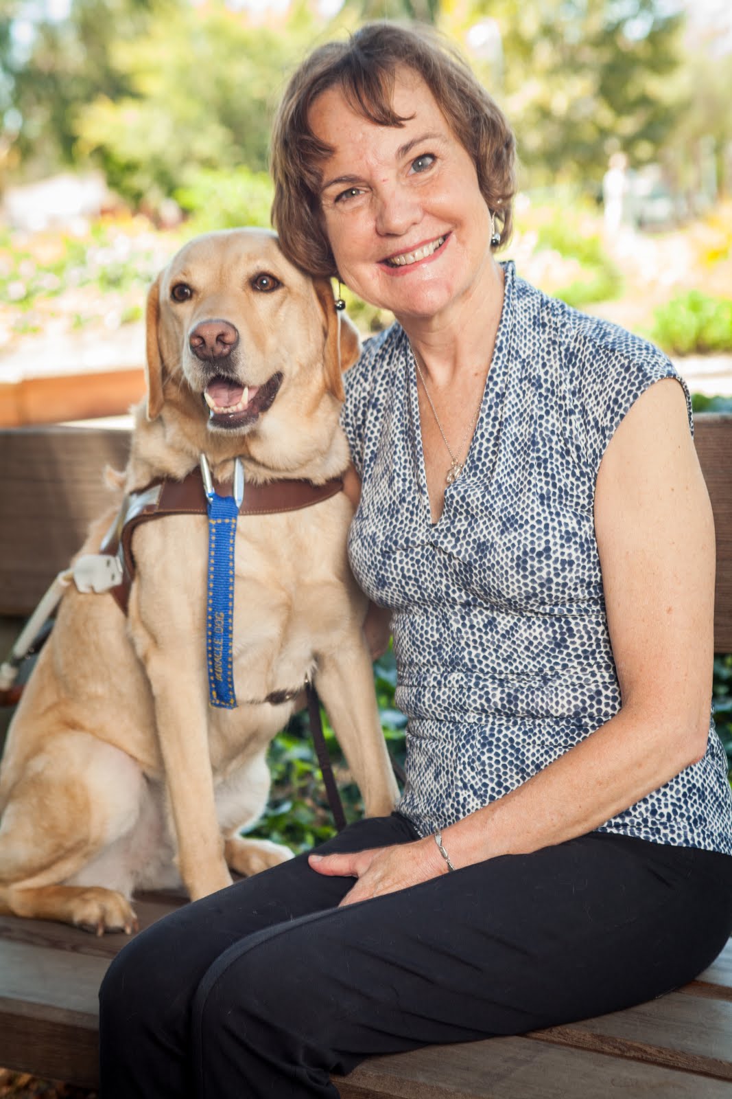 Paws Up for the Guide Dogs Empowering the Visually Impaired and Blind